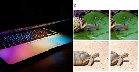 list python curated by indra alapati medium