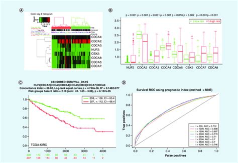 The Comprehensive Prognostic Value Of Eight Cell Division Download