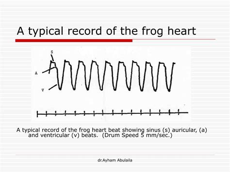 Ppt Frog Heart Physiology Powerpoint Presentation Free Download Id
