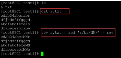 Linux 中 Sed命令如何替换文本中的最后一个指定的字符串 小鲨鱼2018 博客园