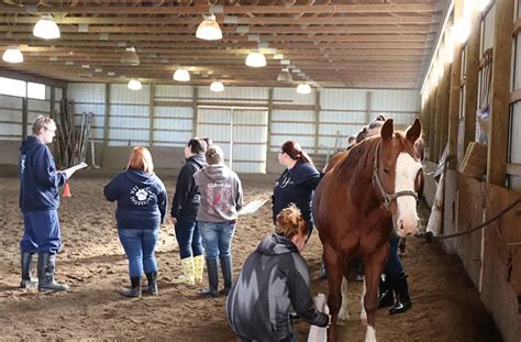 Are You Ready For A Career That Loves You Back