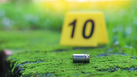 Empty Bullet Casing On A Mossy Surface With A Blurred Black Number 10