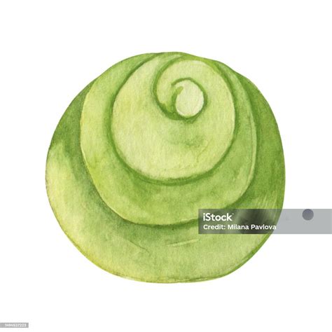 롤과 초밥을 위한 녹색 와사비 소스의 수채화 그림 일본 향신료 손으로 그렸습니다 0명에 대한 스톡 벡터 아트 및 기타 이미지 0명 건강한 생활방식 고추냉이 Istock
