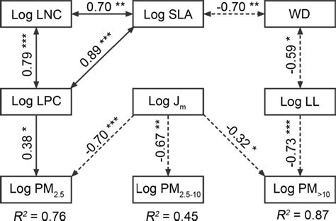 Path Diagram Representing How Leaf Nitrogen Content Lnc Leaf