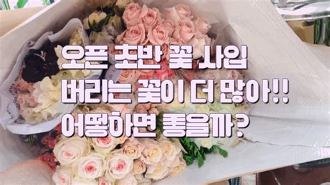 우리들의 숲 우숲 꽃집 창업 초반 꽃 사입 다양하게 사오고 싶은데 못 팔아서 버리게 될까 걱정이예요 구독자 Qanda Youtube