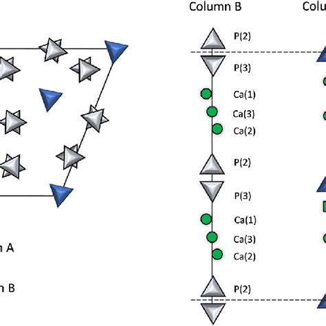 Representation of the crystal structure of β TCP from the point of view Download Scientific