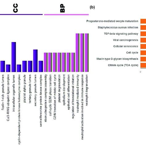 Enriched Go Terms And Biological Pathways Related To Common Genes P
