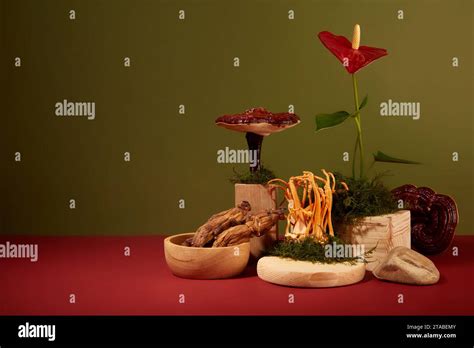Front View Of Cordyceps Red Ginseng Roots And Lingzhi Mushroom Displayed On Wooden Podiums With