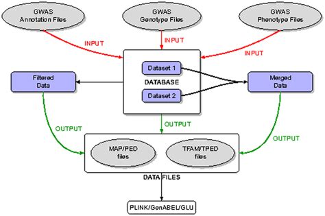 Workflow Chart This Figure Shows The Data Workflow First The Download Scientific Diagram