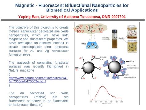 Ppt Magnetic Fluorescent Bifunctional Nanoparticles For Biomedical