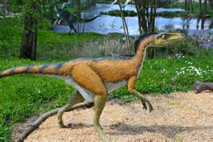 Troodon Formosus Size