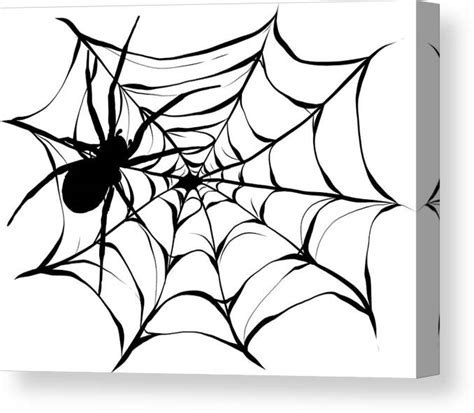 Cool Spider Web Drawings