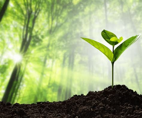 Innovation And Expertise In Epc Technologies Fluor