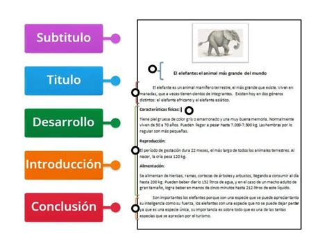 Texto Informativo Y Sus Partes Worksheet Texto Informativo Metodos My