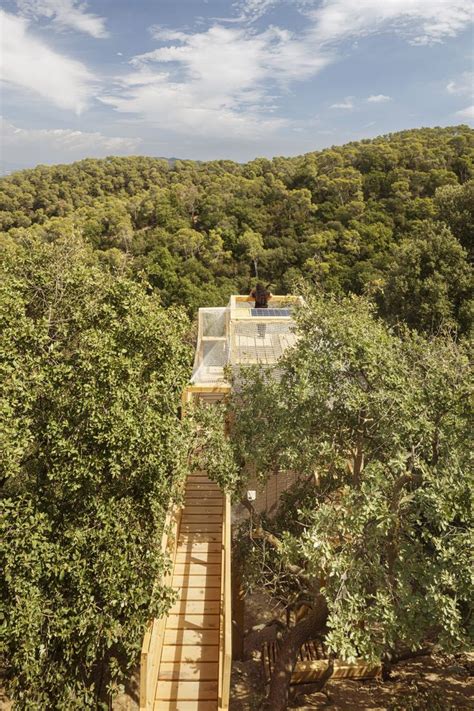 Flora Is A Mass Timber Research Pavilion In Barcelonas Forest Canopy Forest Canopy Places