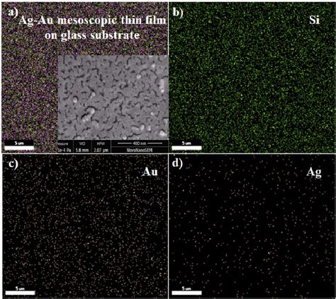 Elemental Mapping Analysis From SEM Photographs A Combinaed Picture Download Scientific