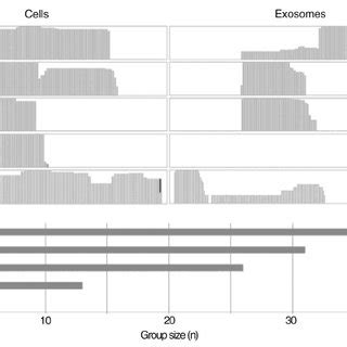 General Quantitative Comparison Of Small RNAs In Cells And Exosomes Download Scientific