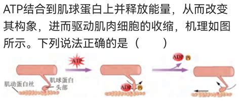 百度教育