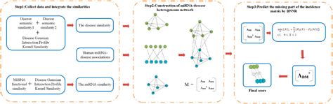 Frontiers Predict Potential Mirna Disease Associations Based On Bounded Nuclear Norm