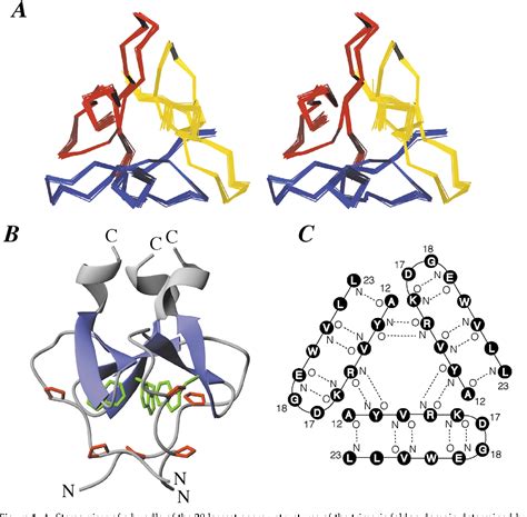 Pdf Very Fast Folding And Association Of A Trimerization Domain From
