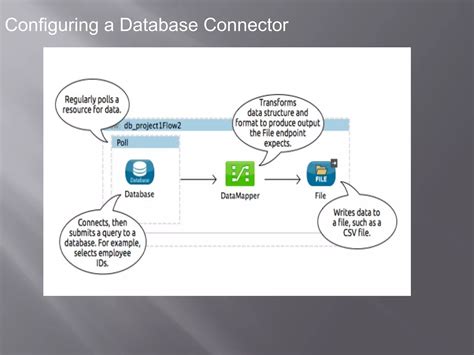 Mule Database Connector Ppt