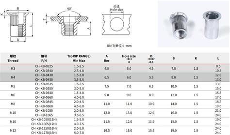 Rivet Nut Countersunk Head Knurled Body Rivet Nut Xinchi