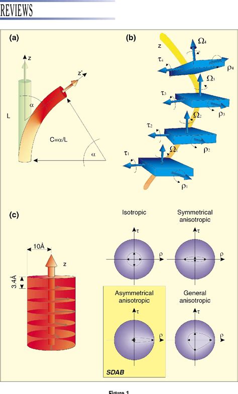 Figure 1 From Rod Models Of Dna Sequence Dependent Anisotropic Elastic