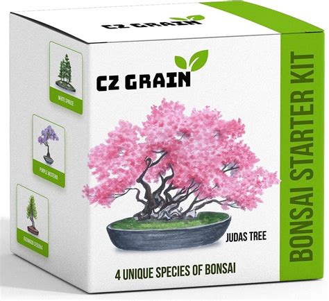 Kit de árbol de bonsái Cultiva 4 tipos de árbol de bonsái de semillas Especies altamente deseadas
