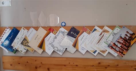 ნანა კვიტაშვილის ელექტრონული პორტფოლიო სადამრიგებლოსთან მუშაობა