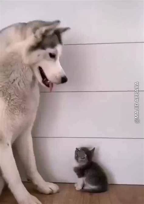 Seghir Abdelkrim Posted On Linkedin