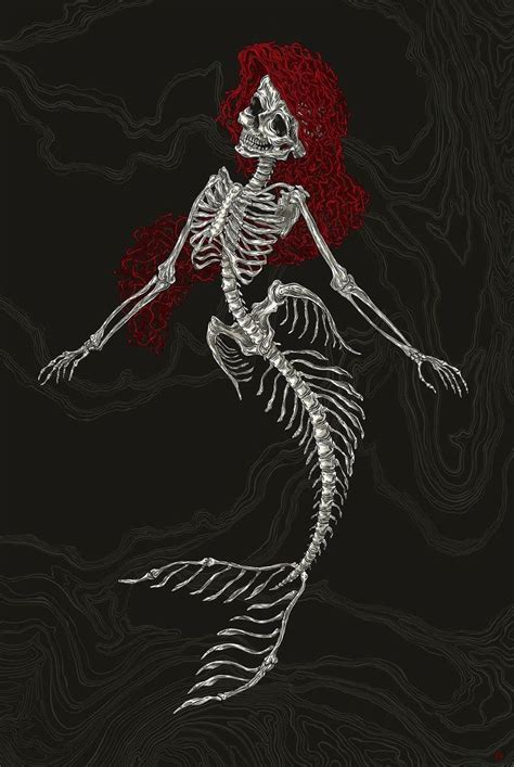 Mermaid Skeleton Esqueleto De Sirena Pinturas Arte Digital