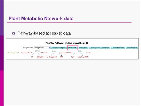 Ppt Accessing The Data You Need At The Plant Metabolic Network Powerpoint Presentation Id