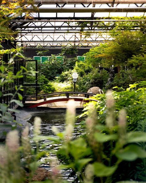 Watertuin Naaldwijk