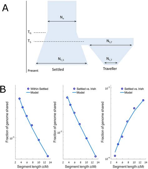 A The Model Used For Demographic Inference The Two Populations Were