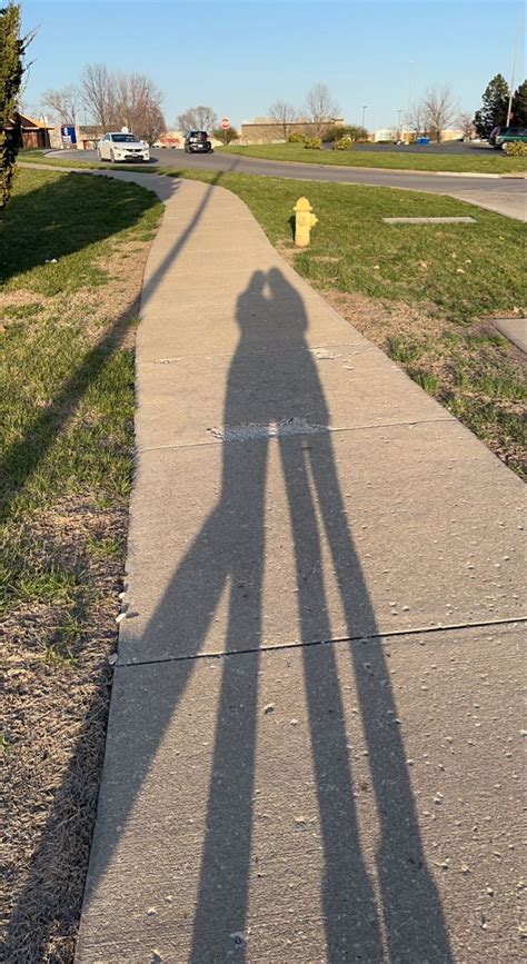 Mommy Long Legs Long Legs Photo Diary Photo