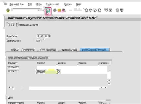 Automatic Payment Program F In SAP