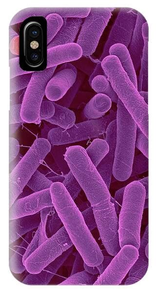 Bacillus Atrophaeus Photograph By Dennis Kunkel Microscopyscience