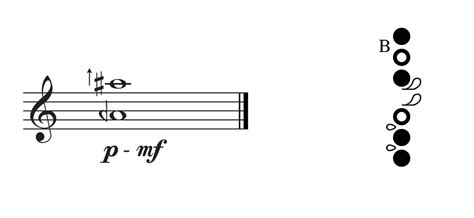 The Kingma System Alto Flute A Practical Guide For Composers And