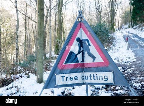 Tree Cutting Warning Sign In Hi Res Stock Photography And Images Alamy