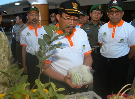 Kader Petani Muda Antara Foto