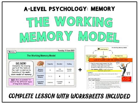 Models Of Memory Lesson Bundle A Level Psychology Memory Topic