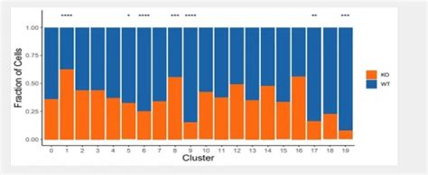 Nature级别的单细胞细胞比例柱状图咋画?一文拿捏!sci论文科研研究生生信分析热 哔哩哔哩 Nature级别的单细胞细胞比例柱状图咋画?一文拿捏!sci论文科研研究生生信分析热 哔哩哔哩
