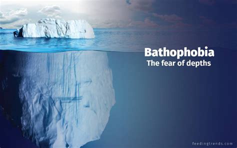 50 Phobia Kinds And Symptoms That Everyone Should Be Aware Of Feeding
