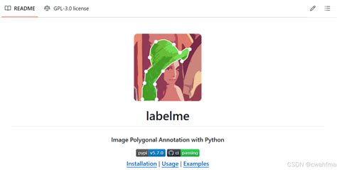 【超详细教程】windows 系统下 labelme 的安装与使用！保姆级教程手把手教你部署与实操，小白也能轻松变身标注大师 labelme