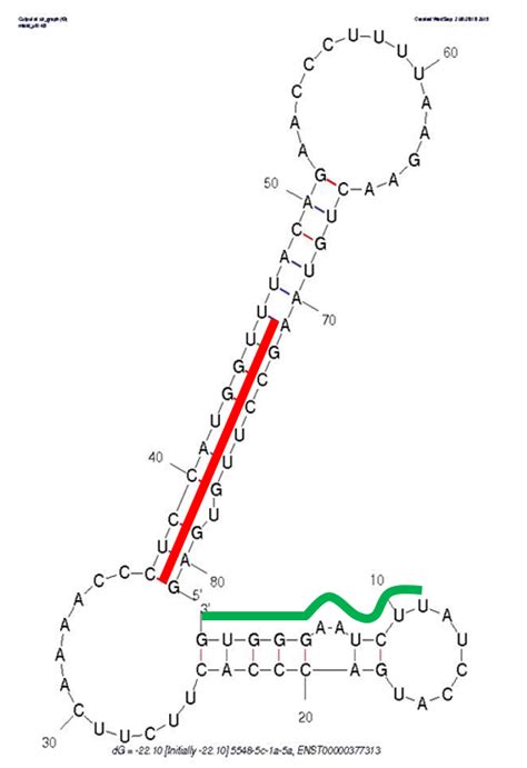 Codondex Subsequence Recurrence And Inherent Length Bias