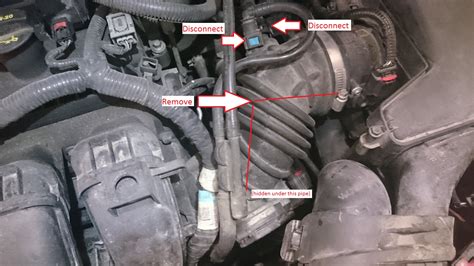 What Is A Purge Valve On A Ford Focus At May Hughey Blog
