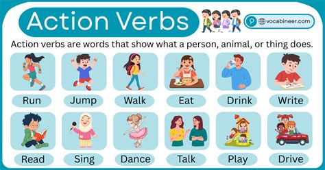 Action Verb Examples Sentences In English