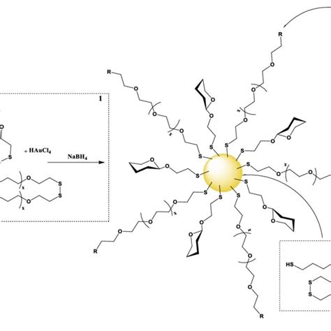 Different Covalent Functionalization Methods Of Ultrasmall Gnp 1 Download Scientific