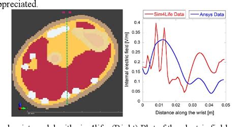 Figure 1 From Comparison Between Planar Multilayer Vs Realistic Anatomical Models For Dosimetric