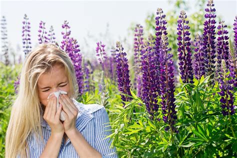 Key Pressure Points For Allergies Kanjo